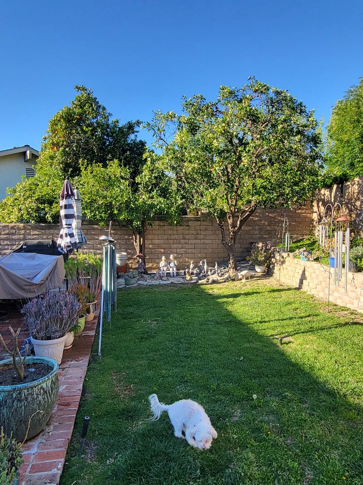 CESAR TREE SERVICE - Updated October 2025 - 19 Photos & 27 Reviews - Thousand Oaks, California ...