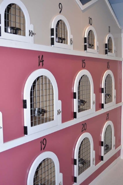 POSH POOCH DOGGY DAYCARE & SPA - Updated June 2026 - 26 Photos - 10931 ...