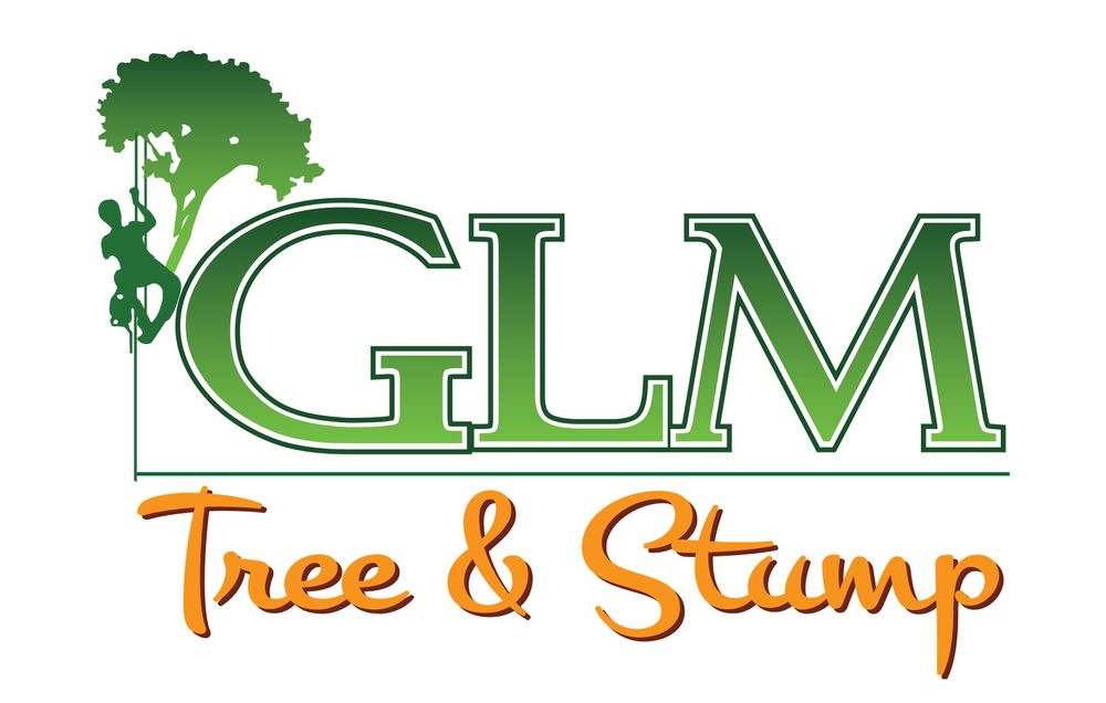 GLM TREE AND STUMP - Updated December 2024 - Sugar Hill, Georgia - Tree ...