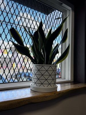 SOUTHERN LOVE - Updated August 2025 - 632 Photos & 310 Reviews - 753 ...