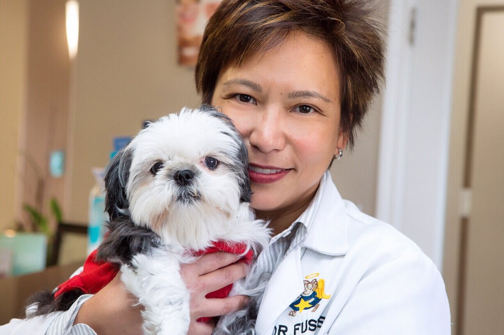 MARY JANE FUSTER, DMD - Updated October 2025 - 24 Photos & 91 Reviews ...