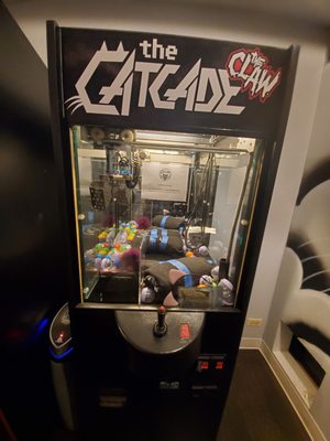 THE CATCADE - 263 Photos & 115 Reviews - 1235 W Belmont Ave, Chicago ...
