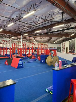 AUSTIN NINJAS - Updated October 2025 - 13 Reviews - 200 Buttercup Creek ...