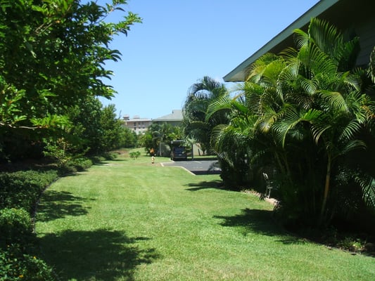 PIILANI GARDEN APARTMENTS - Updated June 2026 - 23 Reviews - 150 Manino ...