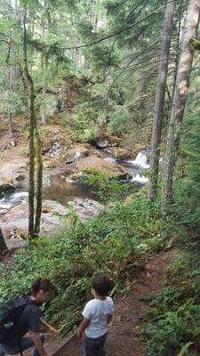 PACK FOREST FALL TRAIL - Updated July 2025 - 10 Photos - 9708-10128 ...