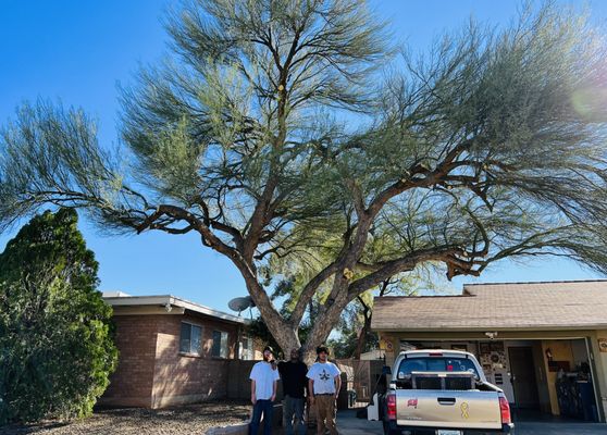 TREE MONKEY TREE TRIMMING - Updated September 2024 - 51 Photos & 57 ...