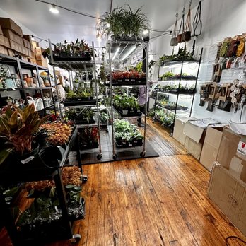 ED’S PLANT SHOP - Updated December 2025 - 88 Photos & 12 Reviews - 174 ...