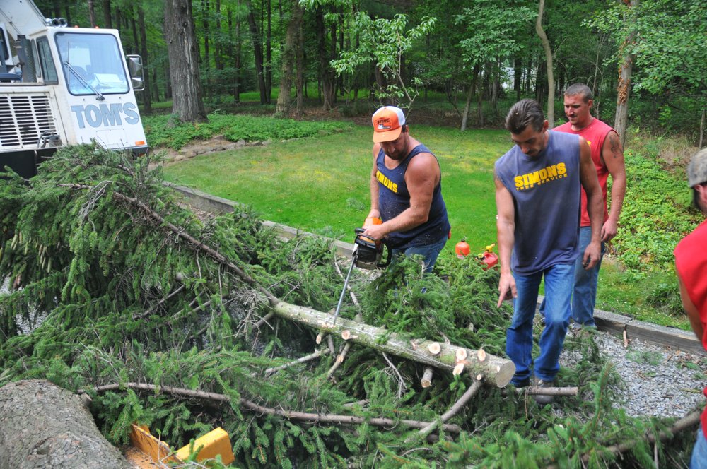 SIMONS TREE SERVICE - Updated October 2025 - 2985 Oak St, Norton, Ohio - Tree Services - Phone ...