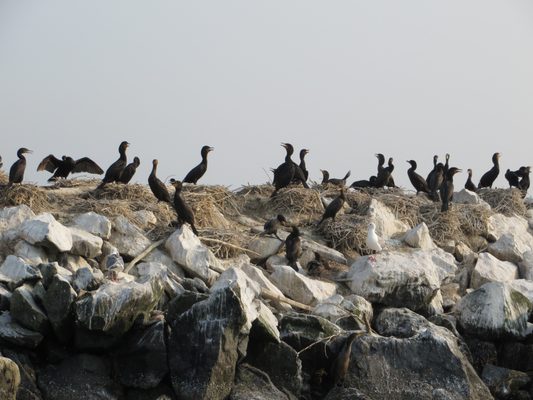 HISTORIC PLOVER PASSENGER FERRY - Updated September 2025 - 22 Photos ...