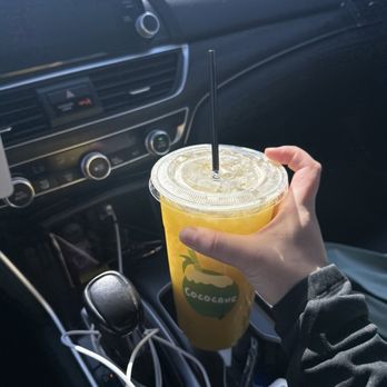 COCOCANE - Updated June 2024 - 2218 Photos & 1354 Reviews - 14338 ...