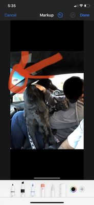 REDMON’S VILLAGE TOWING - Updated January 2026 - 25 Photos & 131 ...