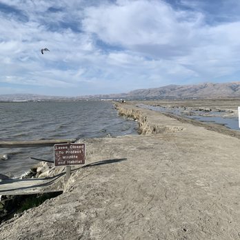 Alviso Marina County Park - 1085 Photos & 143 Reviews - Parks - 1195 ...
