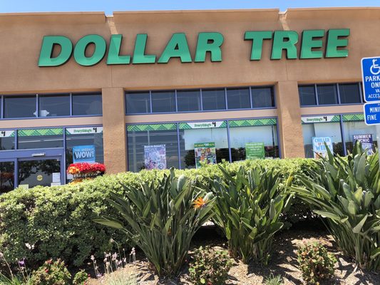 DOLLAR TREE - Updated August 2024 - 36 Photos & 54 Reviews - 4240 ...