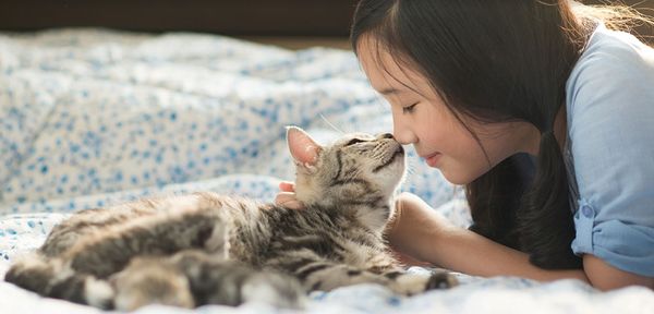 AKINA ANIMAL HEALTH - Updated June 2025 - 12 Photos & 16 Reviews ...