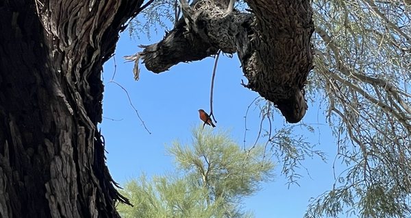 FRED ENKE GOLF COURSE - Updated January 2026 - 60 Photos & 26 Reviews ...