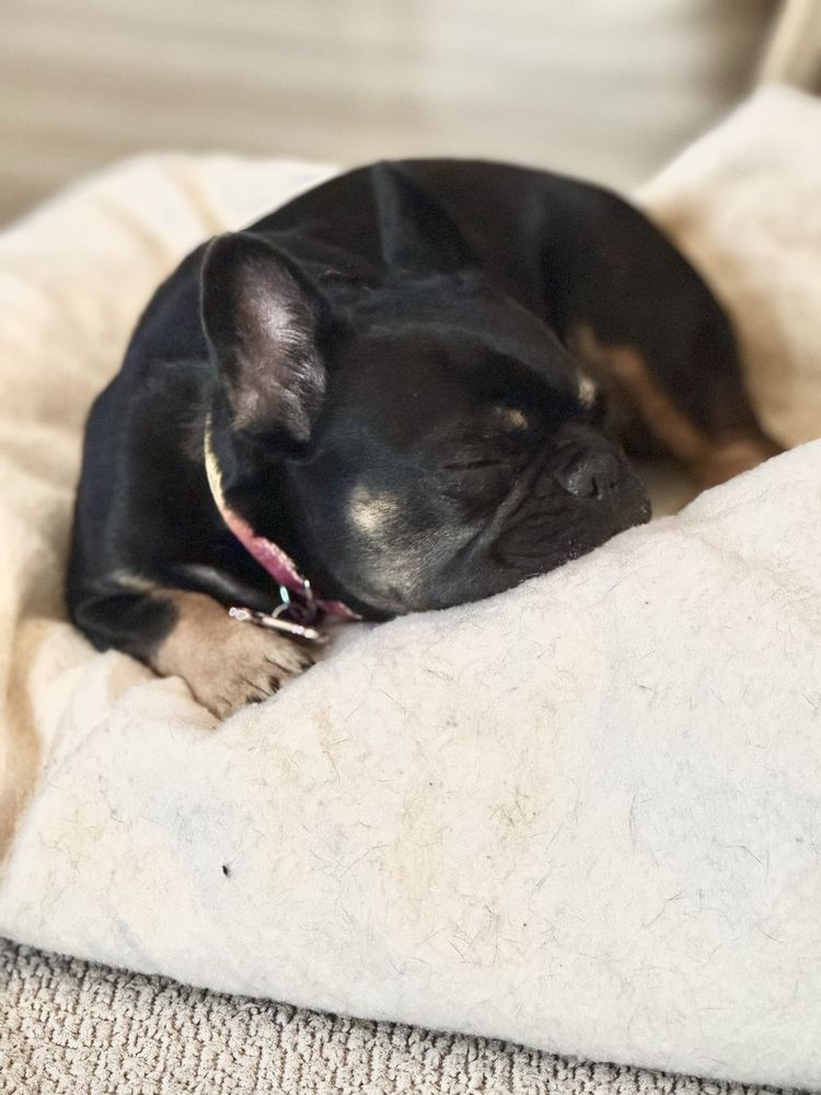 JPK9 - Updated December 2025 - 86 Photos & 27 Reviews - Campbell ...