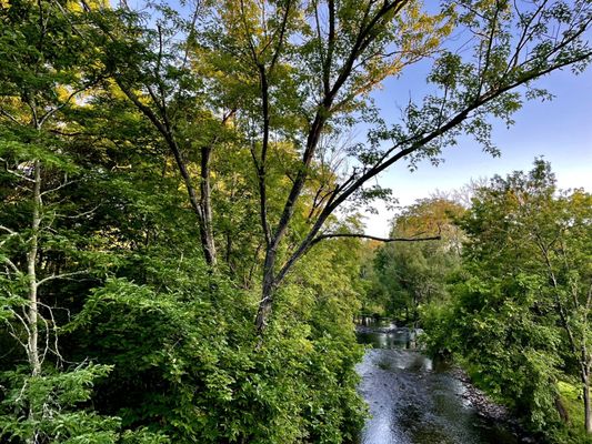 LEHIGH PARKWAY - Updated April 2026 - 56 Photos - 1600 Park Dr ...