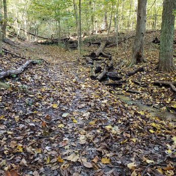 DUFF PARK - Updated December 2025 - 45 Photos & 11 Reviews - 4500 ...