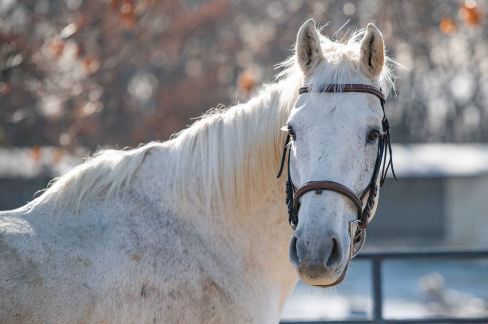 BOLD FOCUS MEDIA - Updated October 2025 - 38 Photos - Bay View ...