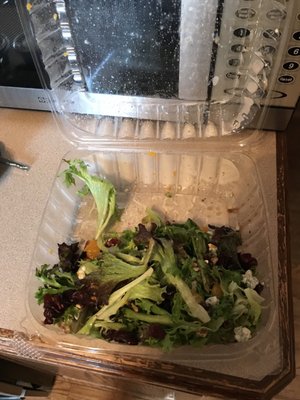 INNER CIRCLE PIZZA CANFIELD - 19 Photos & 64 Reviews - Pizza - 6579 ...