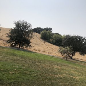 NEWHALL COMMUNITY PARK - 208 Photos & 91 Reviews - Dog Parks - Turtle ...