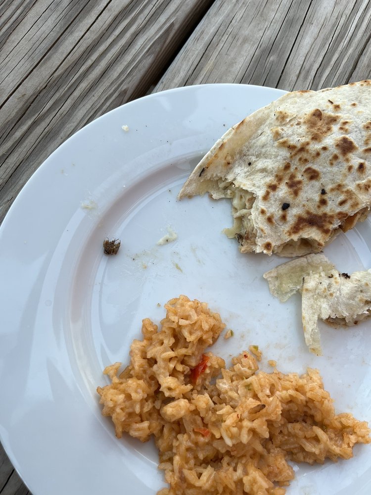 SR SOL - Updated October 2025 - 30 Photos & 175 Reviews - 175 Tallassee ...