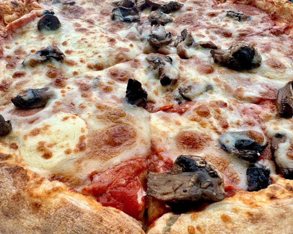 RED EMBER COMMON - Updated December 2025 - 14 Photos - 1 Forks Market ...