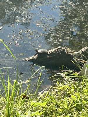 BIG WALNUT GOLF COURSE - Updated December 2025 - 26 Photos - 6683 OH-61 ...