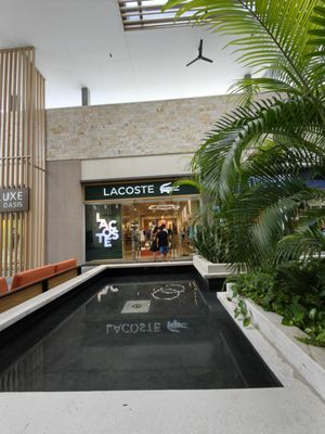 GRAND OUTLET RIVIERA MAYA - Updated December 2025 - 45 Photos - M1 de ...