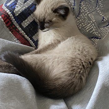 CIDER FLATS APPLE ORCHARD - Updated November 2025 - 35565 Two Rivers Rd ...