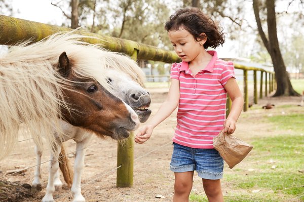OAKVALE WILDLIFE PARK - Updated April 2025 - 39 Photos - 3 Oakvale Dr ...