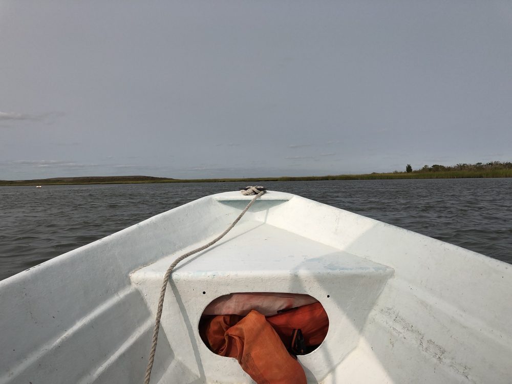 Larsen's Marina, Ocean View | Roadtrippers