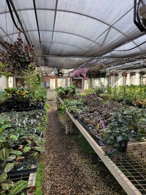 PLANT BARN & GIFT SHOP THE - Updated December 2025 - 43 Photos & 49 ...