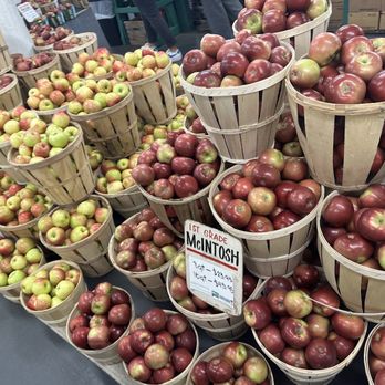 ROGERS ORCHARDS - HOME FARM - Updated August 2025 - 280 Photos & 40 ...