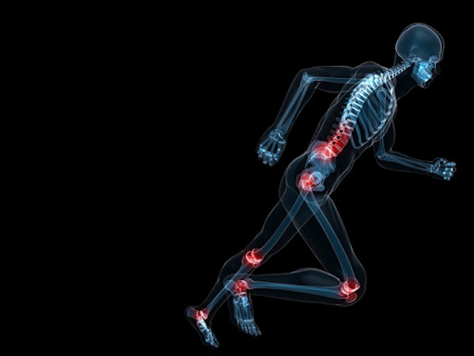 DAVID BRYCE, MD - Updated November 2024 - 744 S Webster Ave, Green Bay ...