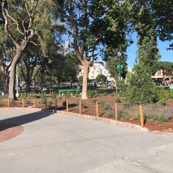 Washington Square Park - 408 Photos & 183 Reviews - Parks - Union And ...