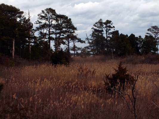 DAMERON MARSH NATURAL AREA PRESERVE - 12 Photos - Guarding Point Lane ...