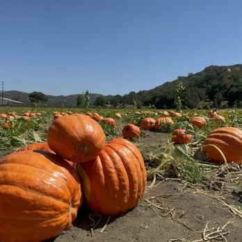 BATES NUT FARM - Updated August 2025 - 1816 Photos & 531 Reviews ...