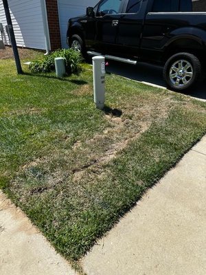 RIPPLE FIBER - Updated January 2026 - 14 Photos & 36 Reviews - 6000 ...