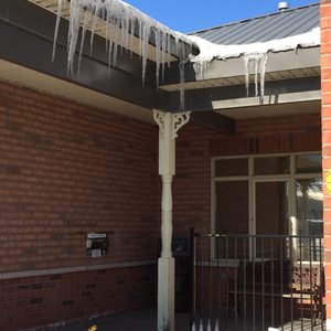 GREENBORO DISTRICT LIBRARY - Updated January 2026 - 363 Lorry Greenberg ...