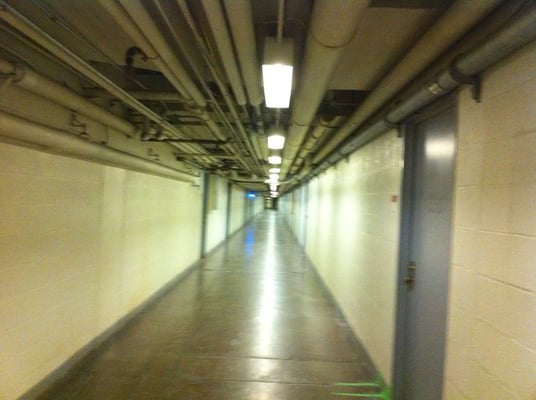 MIT TUNNEL NETWORK - Updated December 2025 - 47 Photos - 77 ...