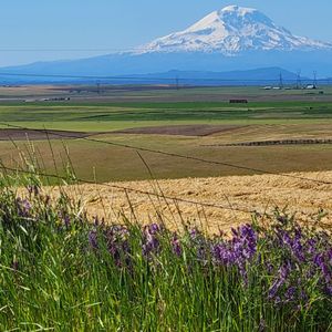 DOWNTOWN GOLDENDALE - Updated August 2025 - 77 Photos - 100 E Main St ...
