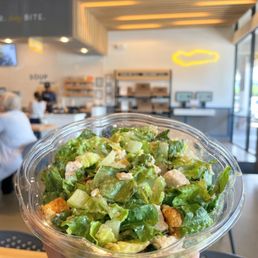 BREAD ZEPPELIN SALADS ELEVATED - Updated July 2025 - 113 Photos & 105 ...