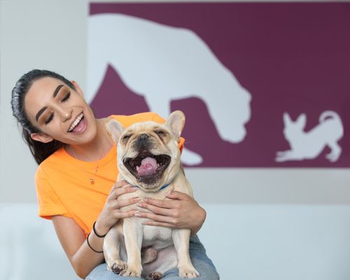 WAG HOTELS - DALLAS/FORT WORTH - Updated October 2025 - 56 Photos & 48 ...