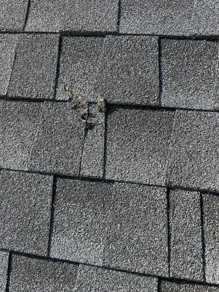 CITADEL CONTRACTING - Updated November 2025 - Request a Quote - 12 ...