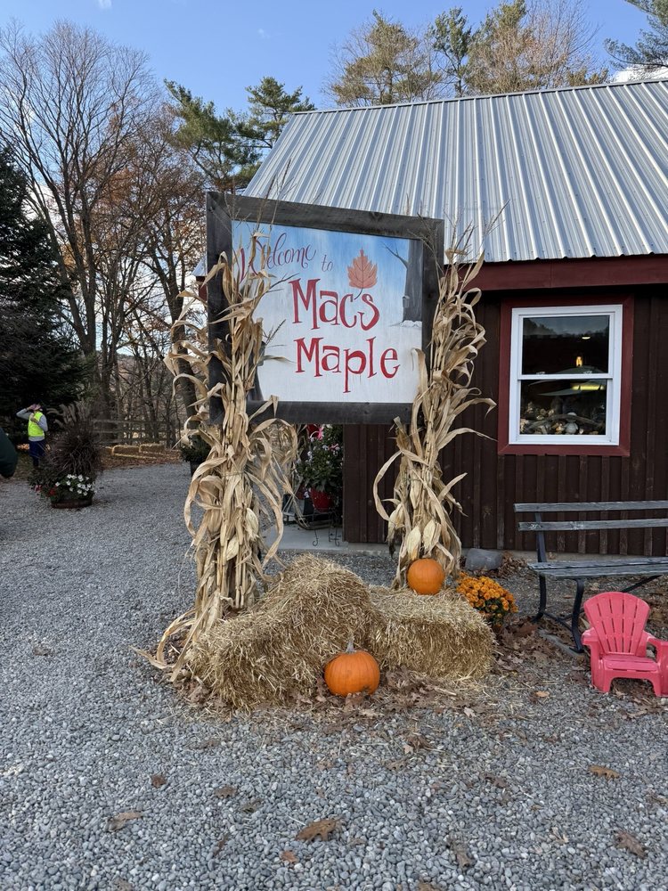 MAC’S MAPLE - Updated December 2025 - 37 Photos & 29 Reviews - 259 ...