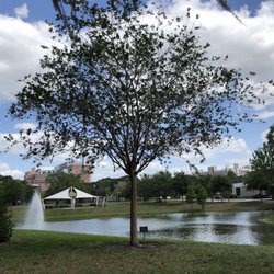 MOFFITT CANCER CENTER - 47 Photos & 94 Reviews - Oncologist - 12902 Usf ...