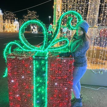 AMAZE LIGHT FESTIVAL-NYC - Updated January 2026 - 118 Photos & 19 ...