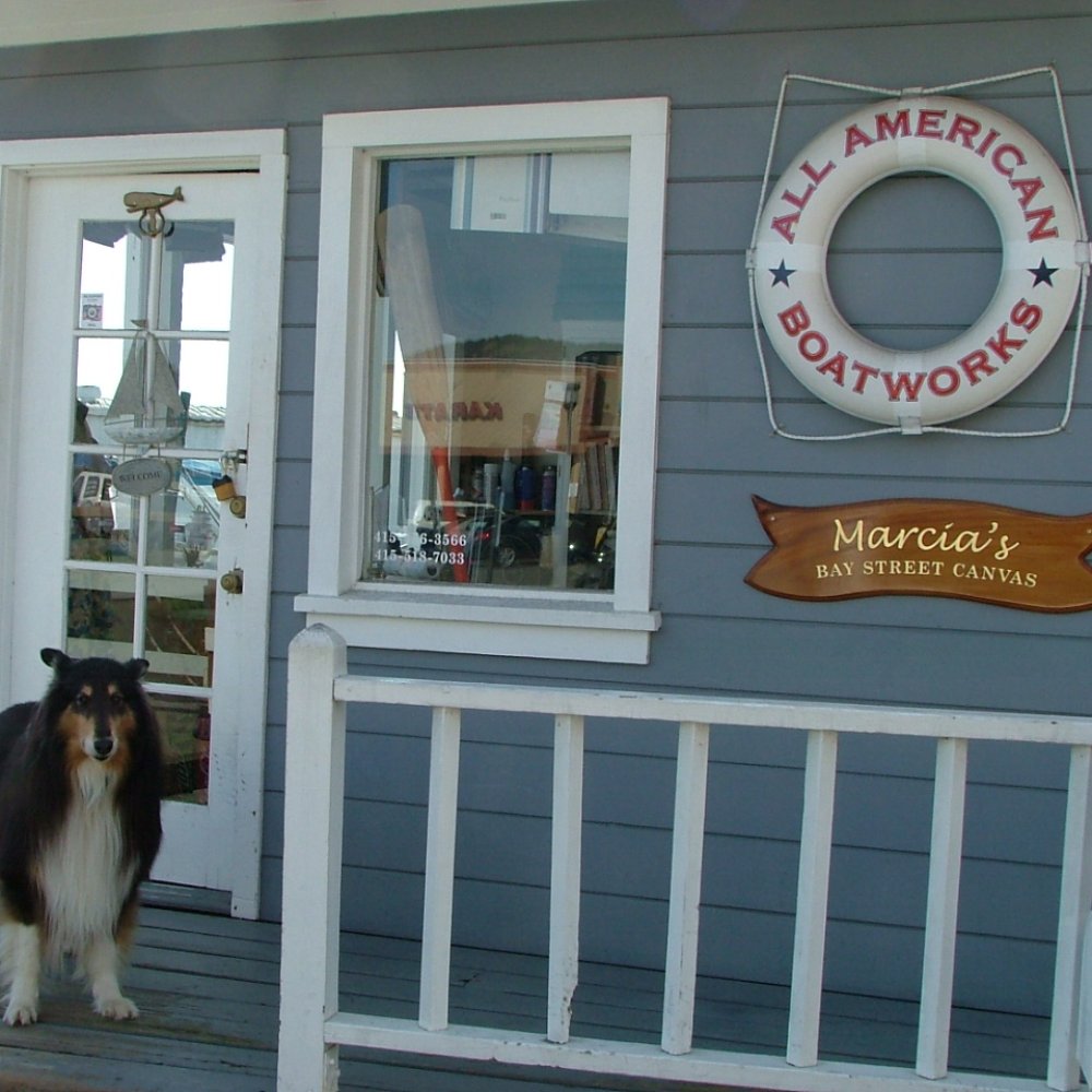 Sofa Savers San Rafael | Baci Living Room