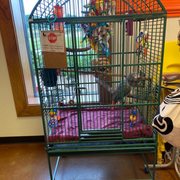 RESCUE RANCH - 26 Photos - 1424 Turnersburg Hwy, Statesville, North ...